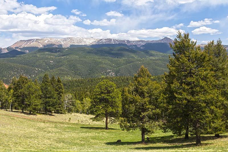 Spring Activities in Colorado Springs! Discover New Adventures Today!